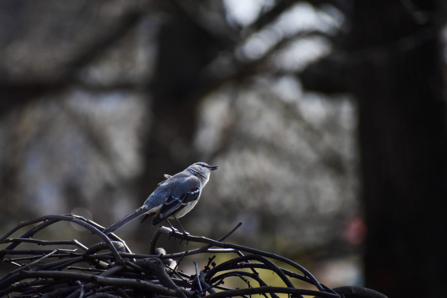 Plan a Visit – University of Lynchburg: Claytor Nature Center